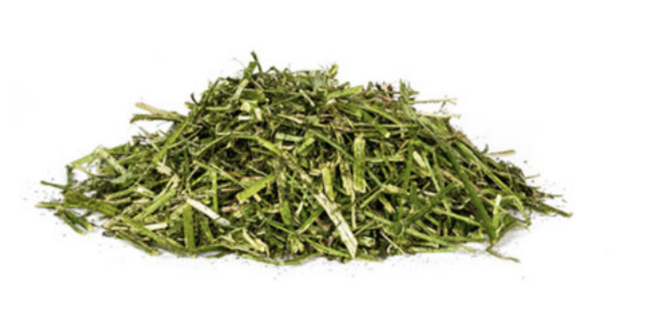 Luzerne Plus als nährstoffreiches Futter online kaufen